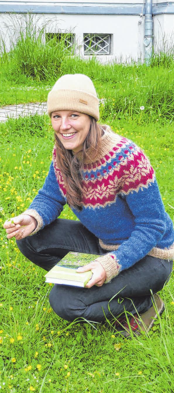 LPV Lindau: Insekten-Projekt Heimische Blütenpracht - Schwäbischer Verlag