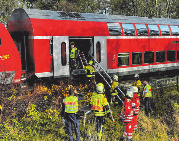 Nach Zugunfall muss Bahn zehn Bäume fällen - Schwäbischer Verlag