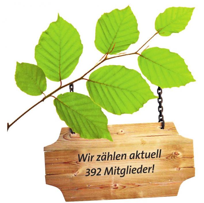 Der Gildebote - Peiner Allgemeine Zeitung