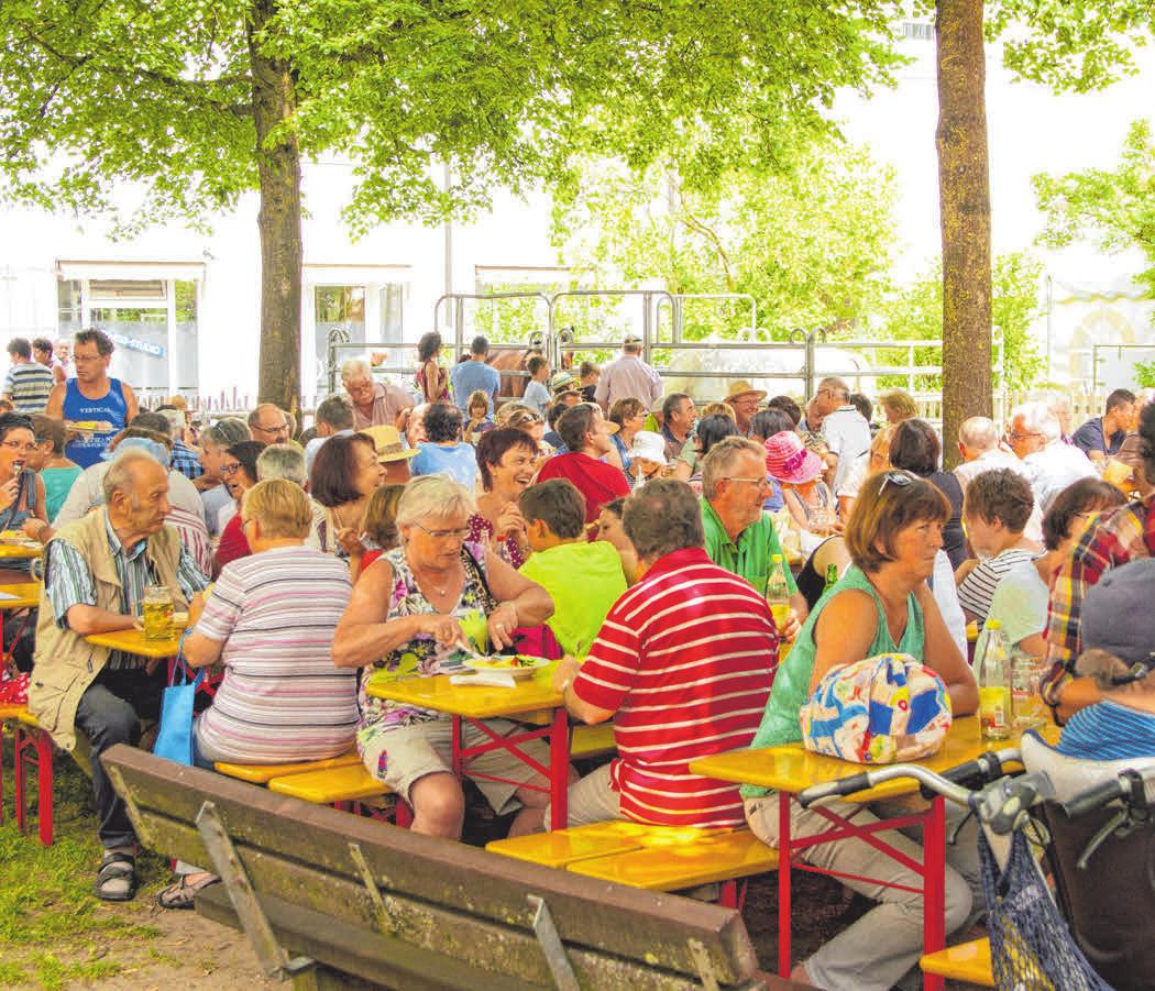 Das Öchslefest – bunt, fröhlich, lebendig - Schwäbischer Verlag
