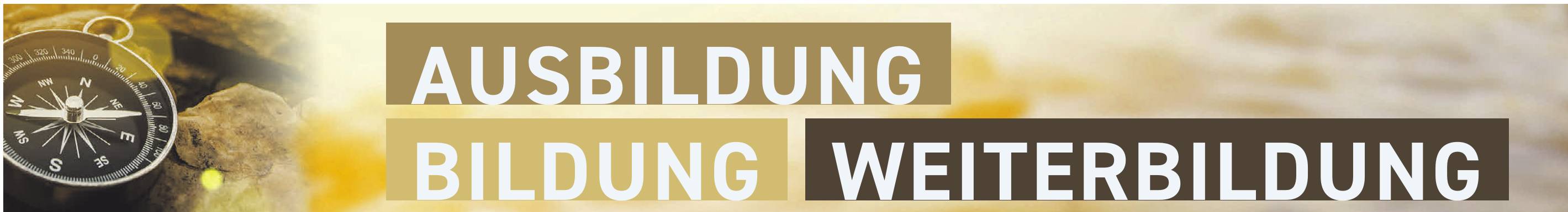 Haas in Trossingen: Ausbildung zum Industriekaufmann - Schwäbischer Verlag