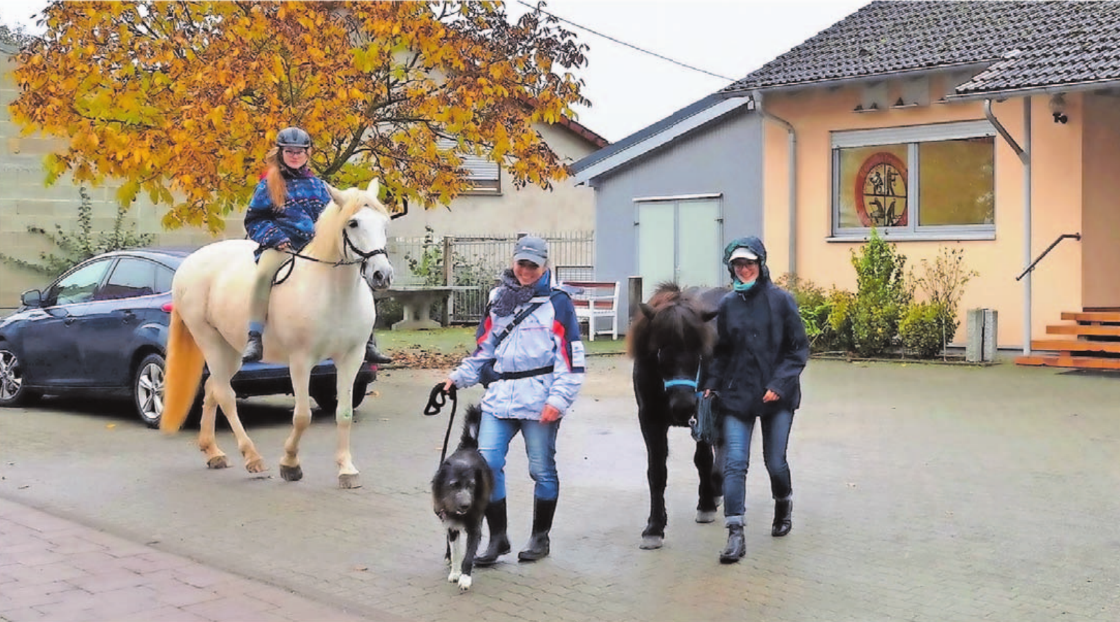 Viele Pferde, viele Bienen und viel Freiheit - Saarbrücker Zeitung