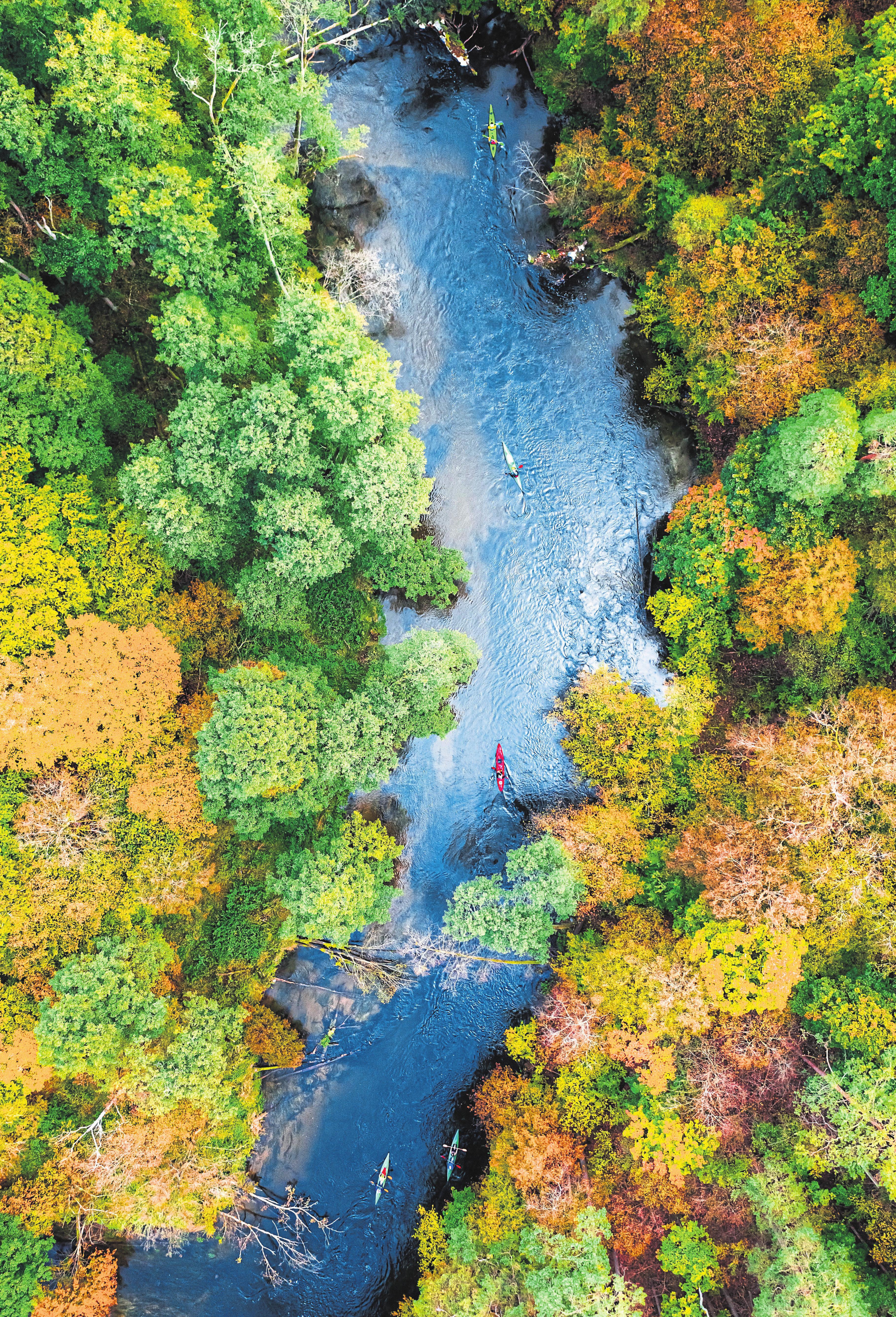 Machen Sie den Herbst zum Highlight! - BILD