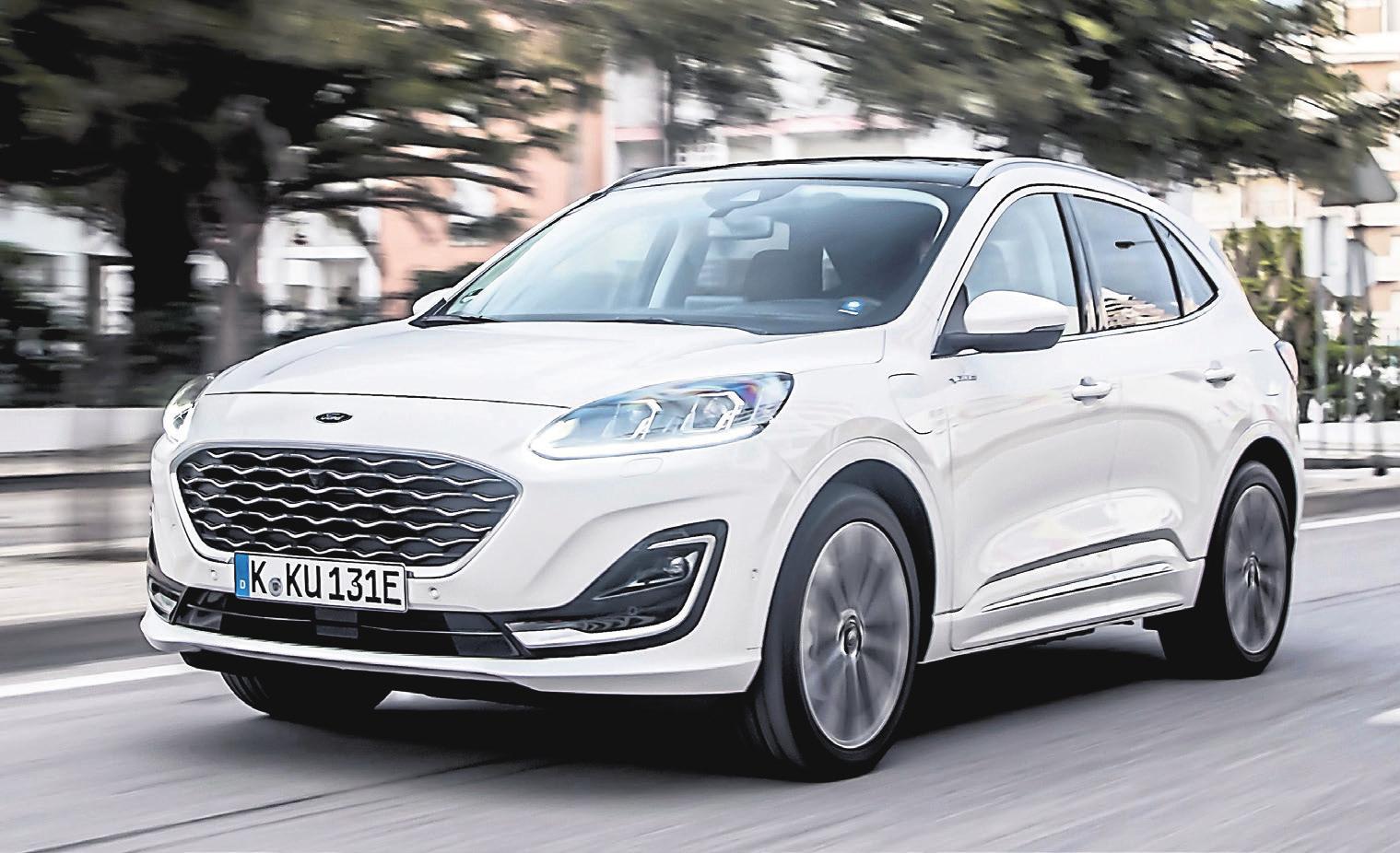 Förderung für Stecker-Kuga läuft weiter - BILD