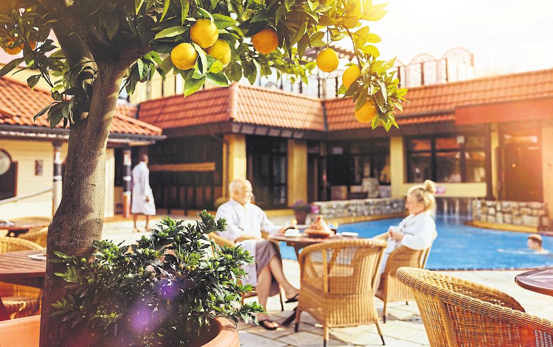 Wellness-Highlights unter Palmen - BILD