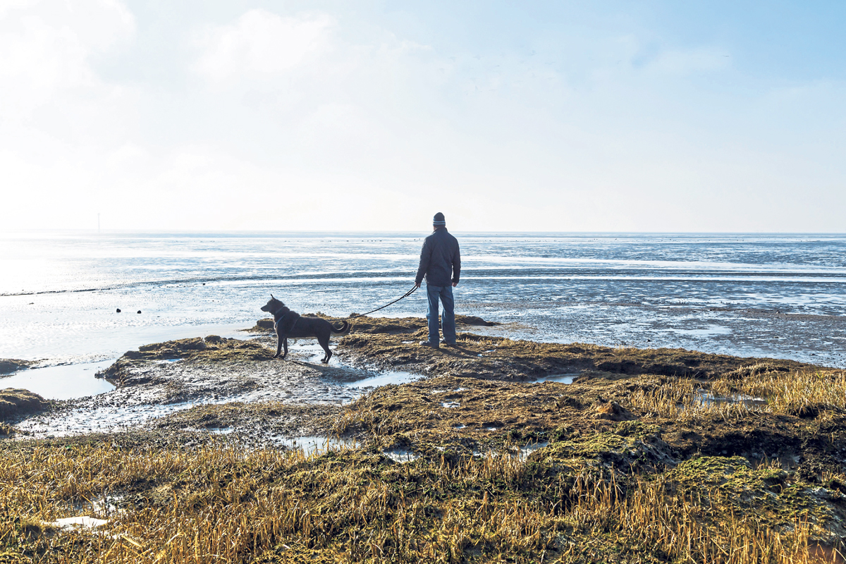 Draußen aktiv, im Innern entspannt - BILD
