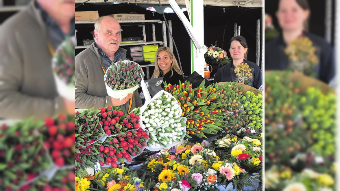 Hamelner Wochenmarkt: Blumen-Land Westerhold - DeWeZet