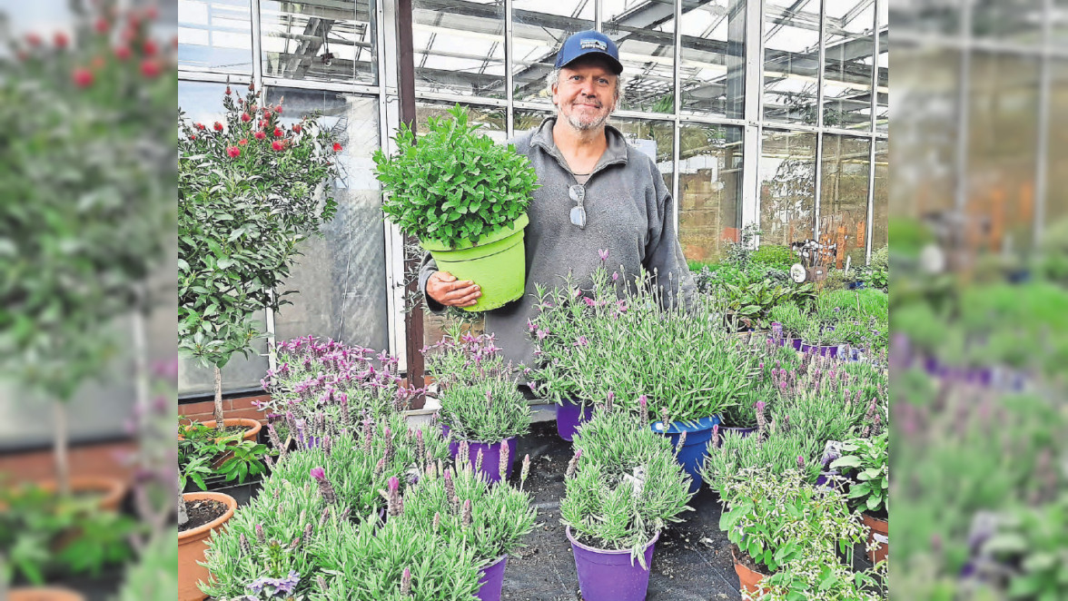 Bernd Kessebom von florus Isernhagen: Kräutergarten-Tipps ...