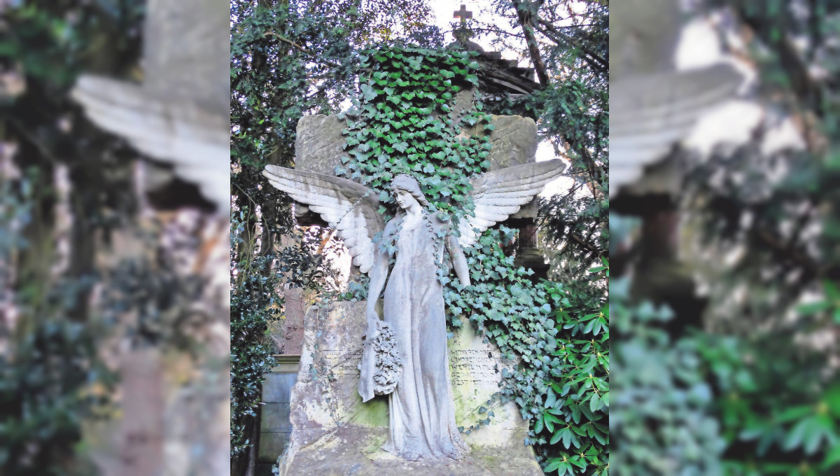 Stille Tage im November - Hannoversche Zeitung