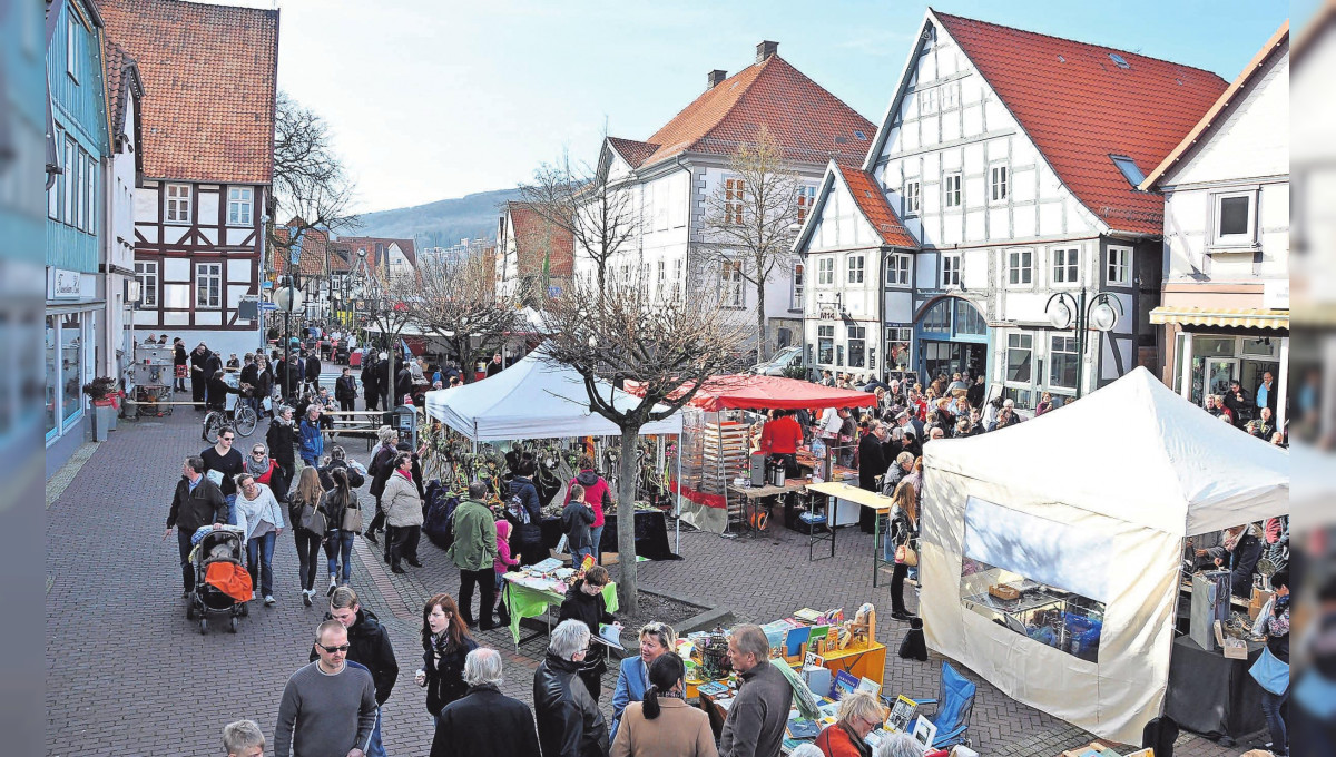 Wir in Springe - Hannoversche Zeitung