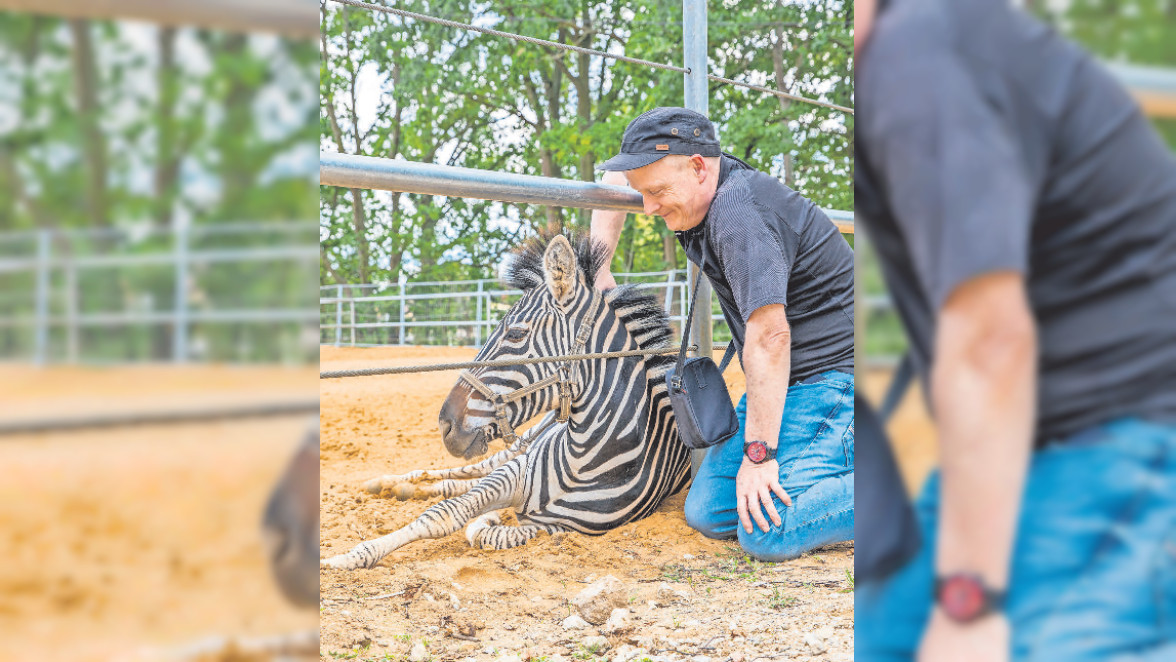 Das Elefanten-Reservat ERLEBNISPARK STARKENBERG lädt ein zum Mutter ...