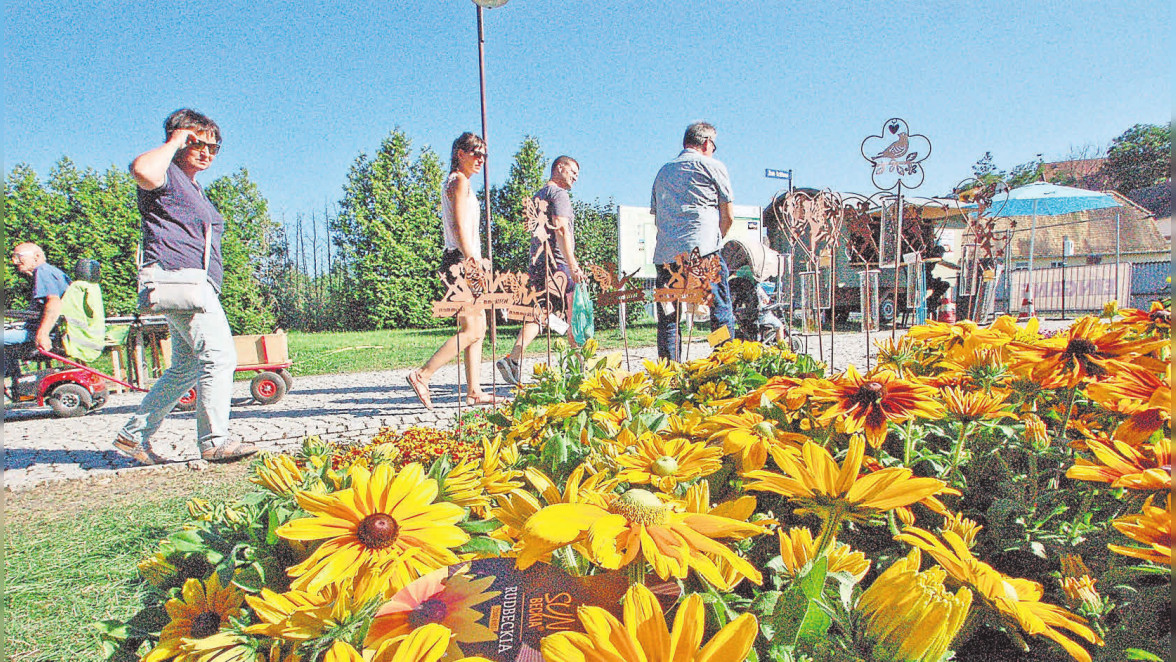 Feste und Feiern - Leipziger Volkszeitung
