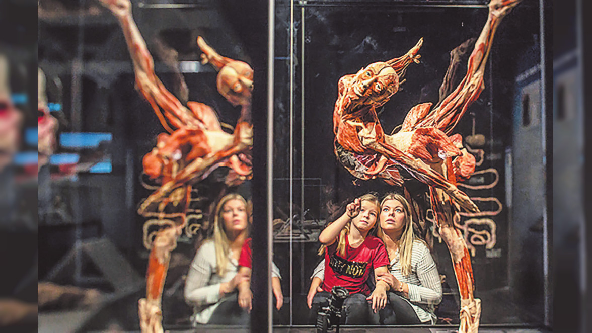 Zeitenströmung Dresden: Tickets für die Körperwelten - Leipziger ...