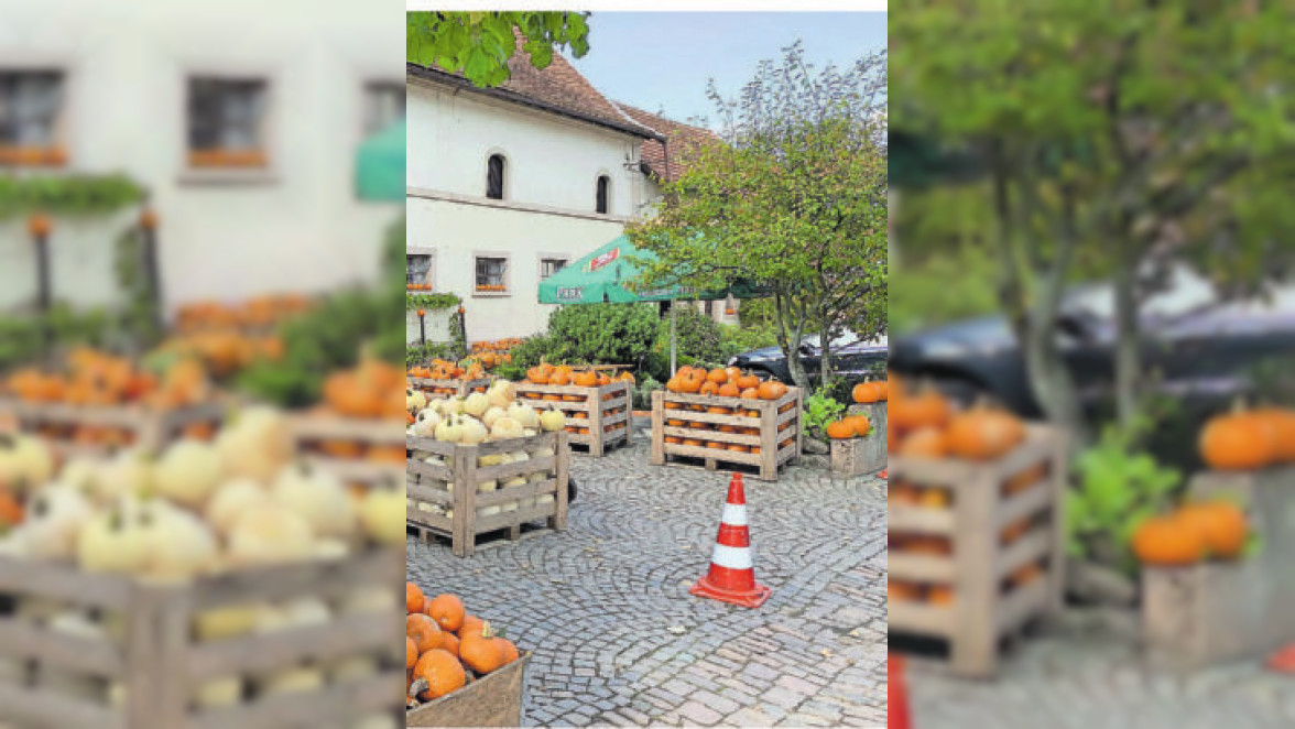 Hitscherhof Maßweiler: Kürbistage 2022/Halloweenparty - Saarbrücker Zeitung