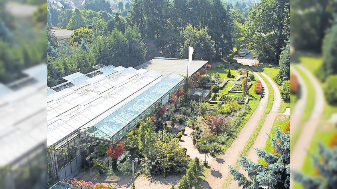 Gärtnerei Koehler Bexbach: Baumkletterer Florian Koehler - Saarbrücker ...