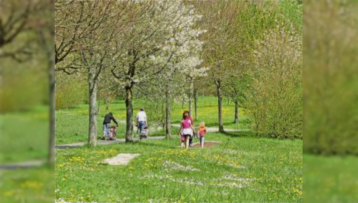 Waterclimb Triolago Riol: Kletterparcours über Wasser - Trierischer ...